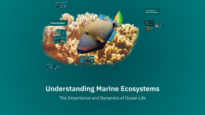 Understanding Marine Ecosystems by Paula Rankin on Prezi