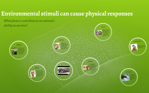 Environmental Stimuli by Colleen Adam on Prezi