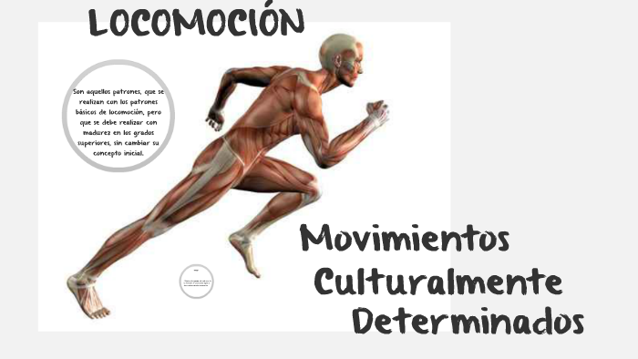 LOCOMOCIÓN Y MOVIMIENTO by GpuntoH Presentaciones on Prezi