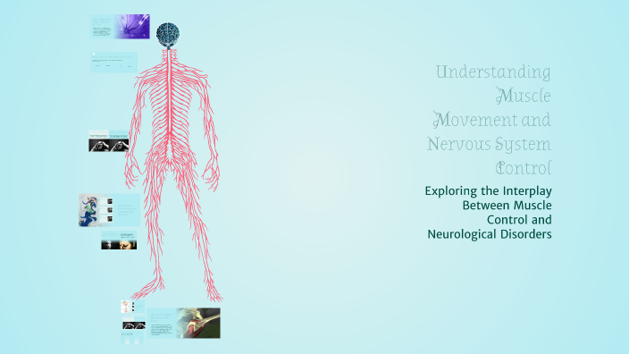 Understanding Muscle Movement and Nervous System Control by Antonio ...