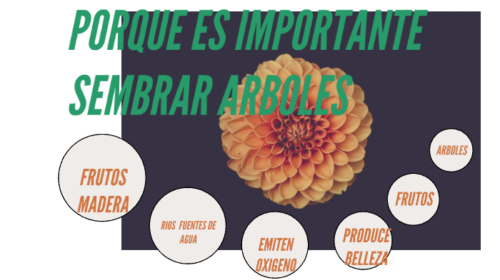 PORQUE ES IMPORTANTE SEMBRAR ARBOLES by Pedro Pablo Pérez on Prezi