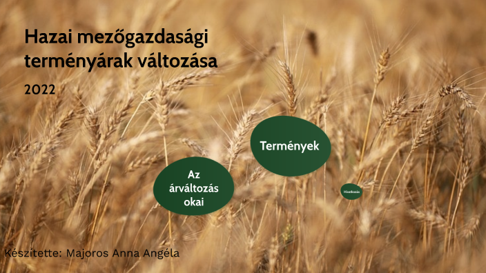 PRESENTATION TITLE by Majoros Anna on Prezi