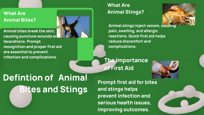 First Aid for Animal Bites or Stings by Harmony on Prezi