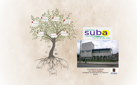 HOSPITAL DE SUBA by Laura Fonseca on Prezi
