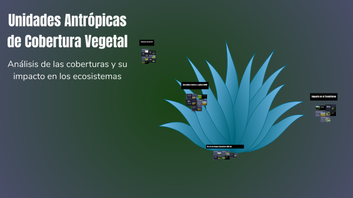 Unidades Antrópicas de Cobertura Vegetal by DEINER ELVER LOPEZ ESTELA ...