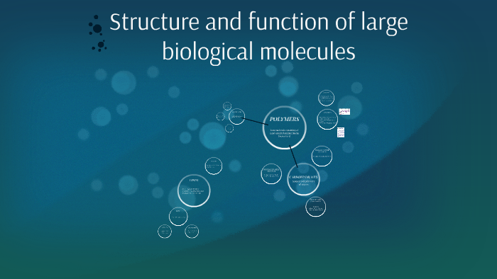 Chapter 5 Structure and function of large biological molecules by ...