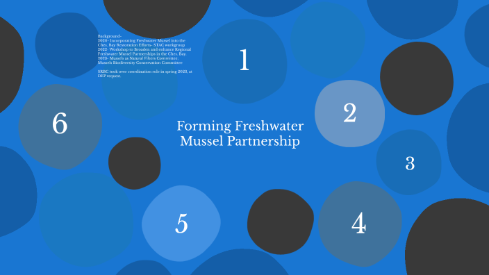 Forming Freshwater Mussel Partnership by Tyler Shenk on Prezi