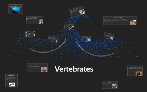 Vertebrates by sara neary on Prezi