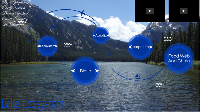 Lake Ecosystem by Josephine Le on Prezi