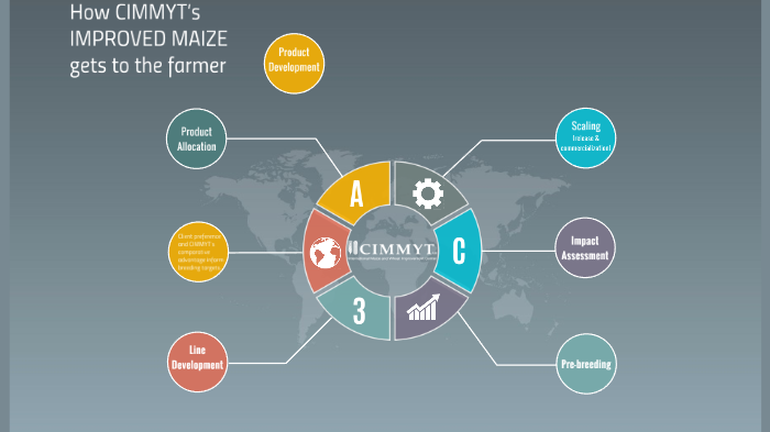 CIMMYT GMP map by Joshua Masinde on Prezi