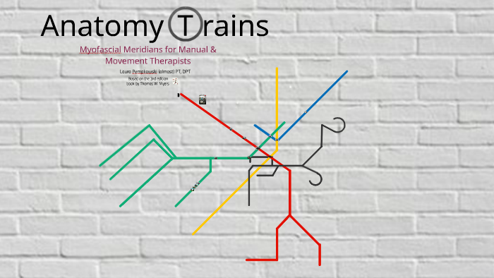 Anatomy Trains by Laura Pempkowski on Prezi