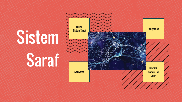 Sistem Saraf by Lim_ Hal on Prezi