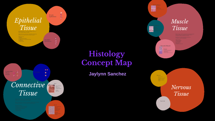 Histology Concept Map by jaylynn sanchez on Prezi
