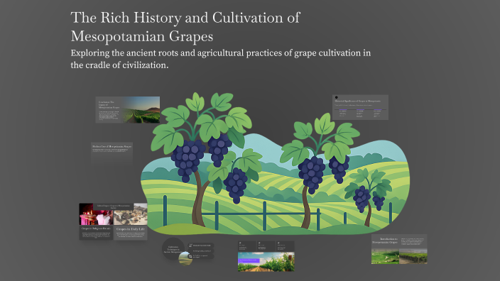 The Rich History and Cultivation of Mesopotamian Grapes by Ellie Pfahl ...