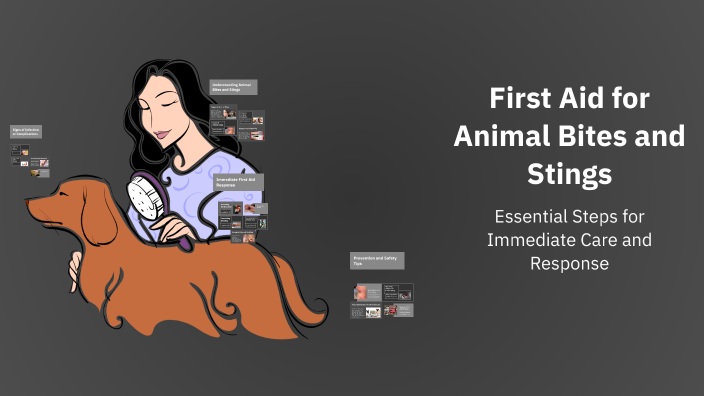 First Aid for Animal Bites and Stings by Harmony on Prezi