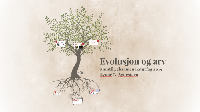 Evolusjon Og Arv By Synne Bjoernevoll On Prezi