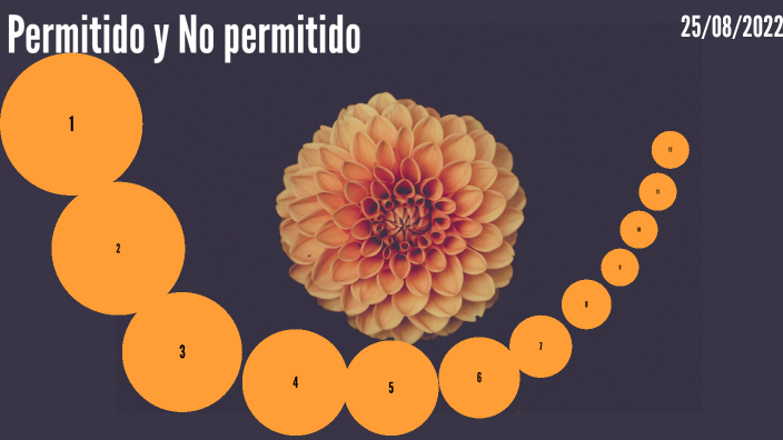 Permitido y No permitido by SoyAlejoYT on Prezi
