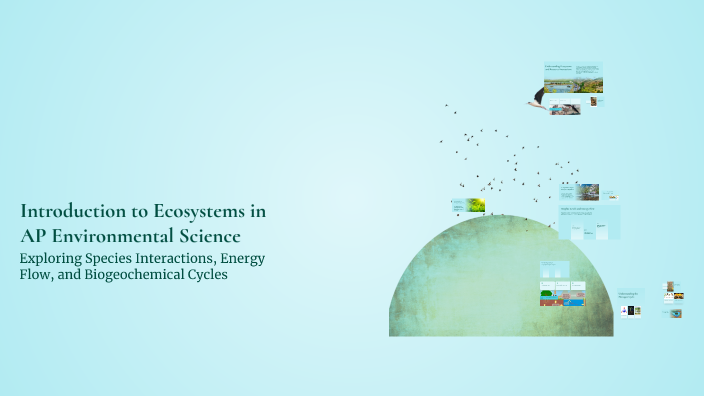 Introduction to Ecosystems in AP Environmental Science by Elizabeth ...