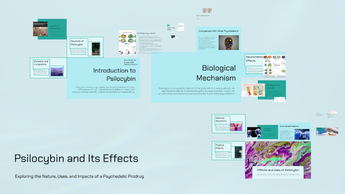 Exploring Psilocybin: The Psychedelic Compound by alexandra corrigan on ...
