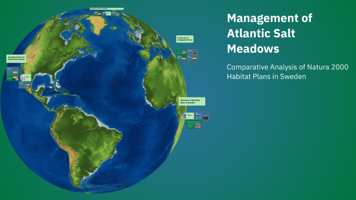 Management of Atlantic Salt Meadows by Vera Salin on Prezi