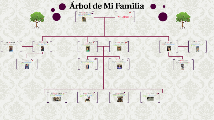 Árbol de la Familia by Amy Tran on Prezi