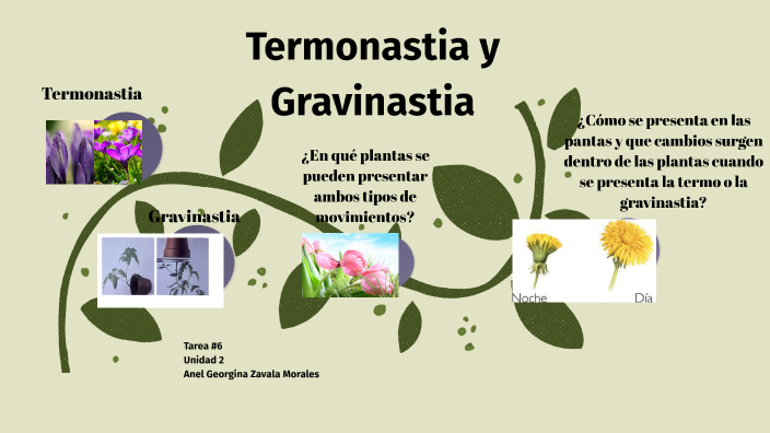 Termonastia y Gravinastia by gina zavala on Prezi