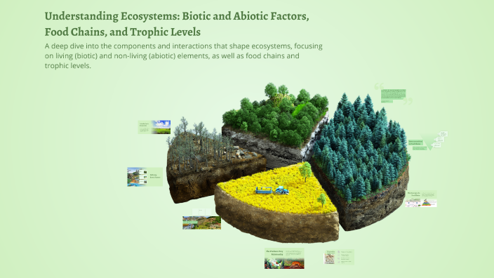 Understanding Ecosystems: Biotic and Abiotic Factors, Food Chains, and ...