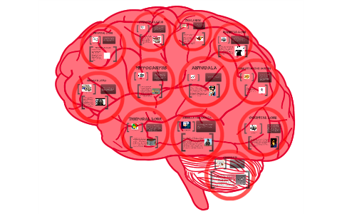 Superhero Brain Project by Katie Lent on Prezi