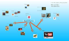 Animal Diversity Mind Map by Grace MacDonald