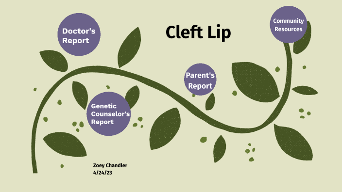 Cleft Lip Genetic Disorder by Zoey Chandler on Prezi