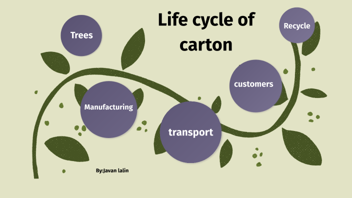 Life cycle of carton by Javan Lalin on Prezi