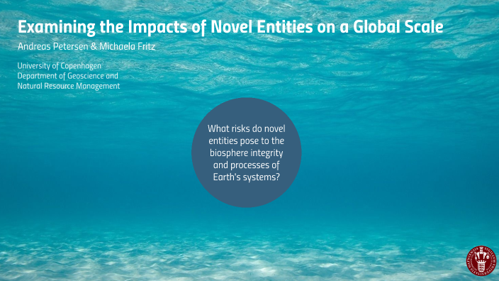 PICO - Novel Entities by Michaela Fritz on Prezi