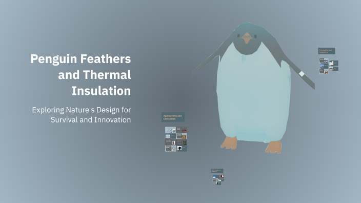 Penguin Feathers and Thermal Insulation by Smayan Shinde on Prezi