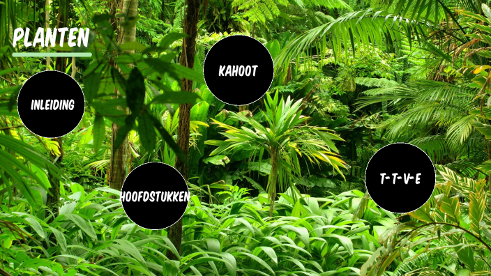 mathijs werkstuk planten by mathijs slabbekoorn on Prezi