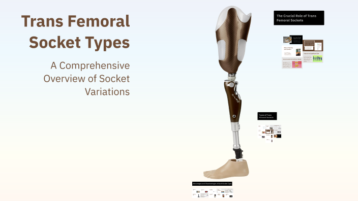 Trans Femoral Socket Types by عادل الفاخوري on Prezi