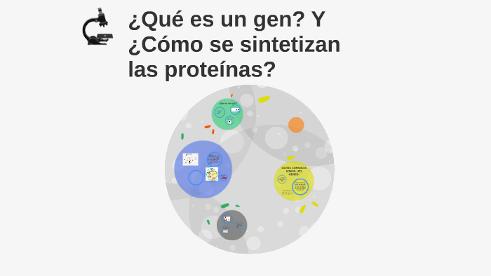 ¿Qué es un gen? y ¿Como se sintetizan las proteínas? by Leticia ...