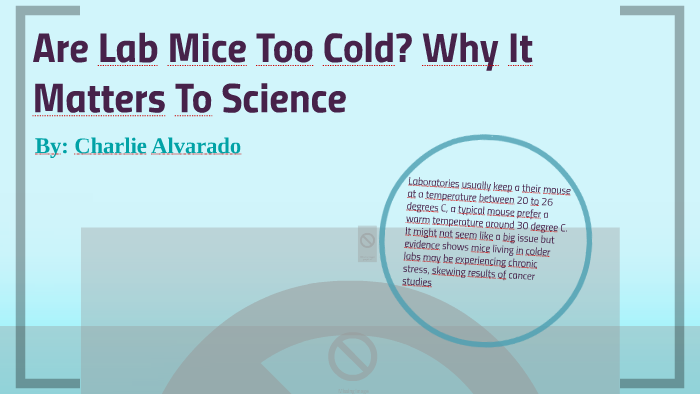 Are Lab Mice Too Cold? Why It Matter To Science by on Prezi