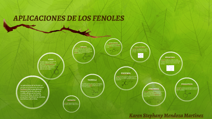 APLICACIONES DE LOS FENOLES by Karen Mendoza on Prezi