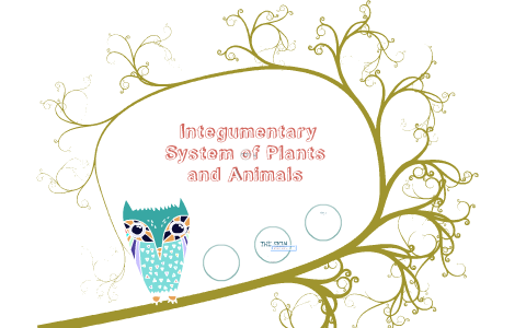 Integumentary System of Plants and Animals by Christyl Ara Montajes ...