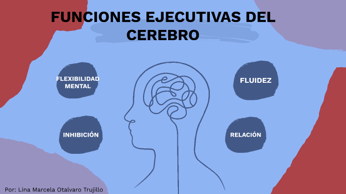 Funciones Ejecutivas del cerebro by Lina Otalvaro on Prezi