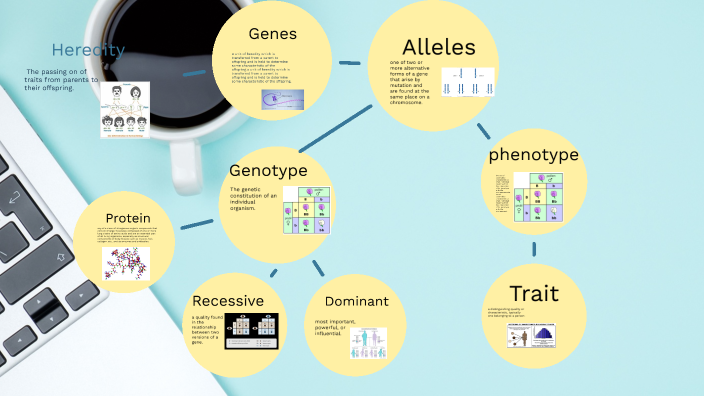 Heredity consept map by Edgar Valdivia on Prezi