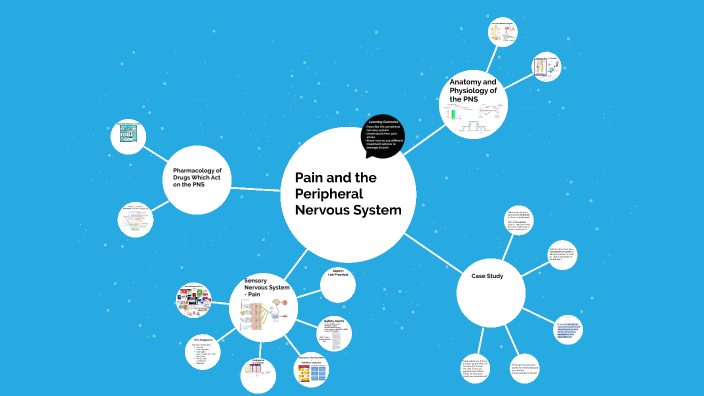 Pain and PNS Study Pack Introduction by on Prezi