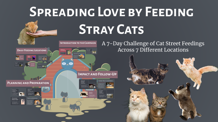 Spreading Love by Feeding Stray Cats by Gregorius Andrew on Prezi
