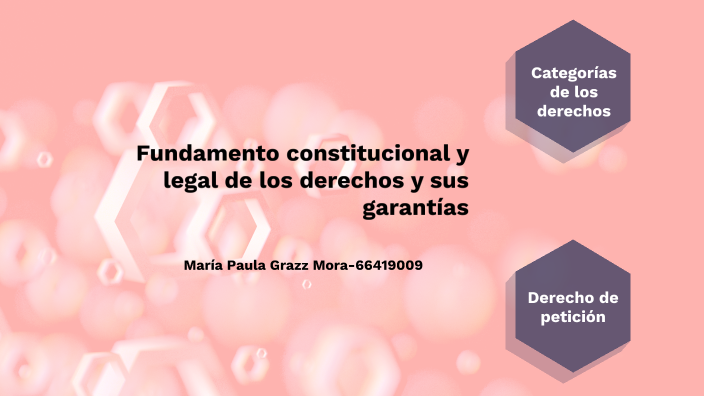 fundamento constitucional y legal de los derechos y sus garantías by ...