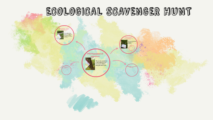 ECOLOGICAL SCAVENGER HUNT by maayah ciara on Prezi