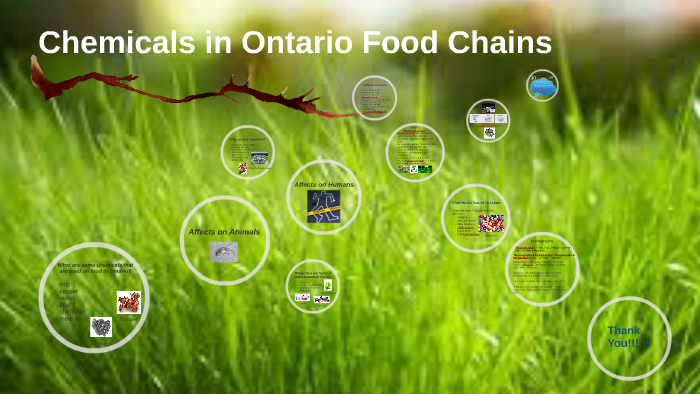 Chemicals in Ontario Food Chains by Linda Zhao on Prezi