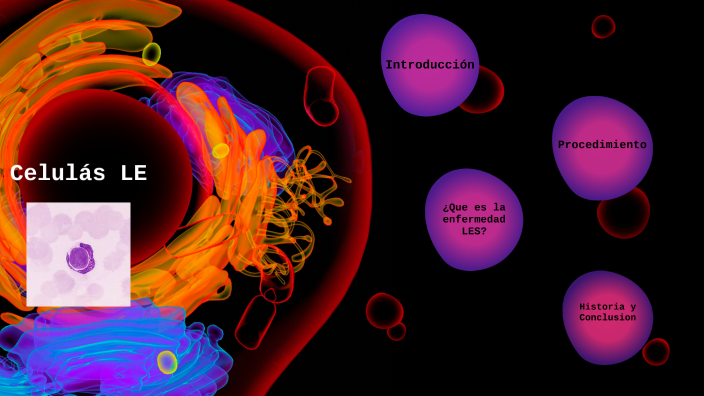 Células LE by Beltrán Miranda Joan on Prezi