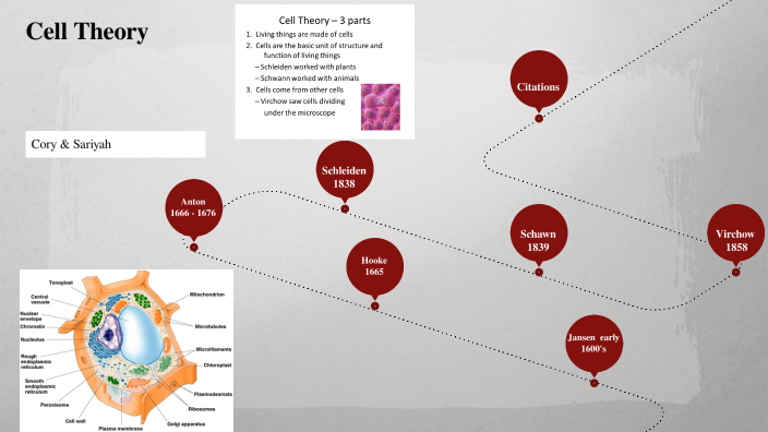 cell theory timeline by Cory Hernandez on Prezi