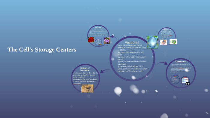 The Cell's Storage Centers by Michele Fishman on Prezi