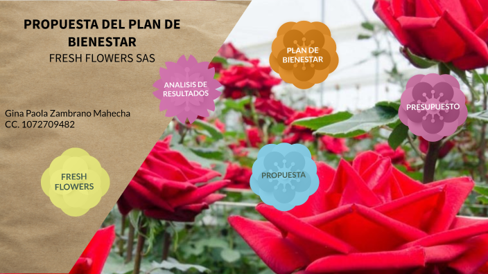 PROPUESTA DE PLAN DE BIENESTAR by Gina Paola ZAMBRANO MAHECHA on Prezi